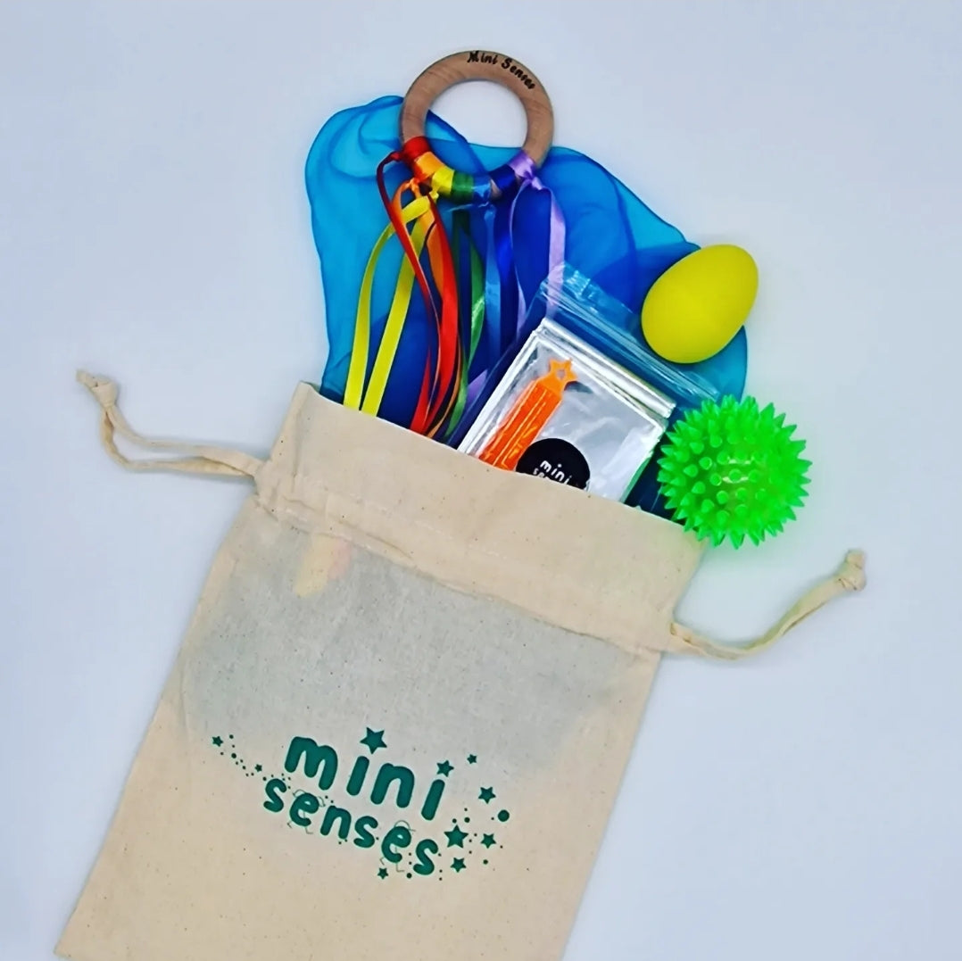 Sensory Bag – Mini Senses
